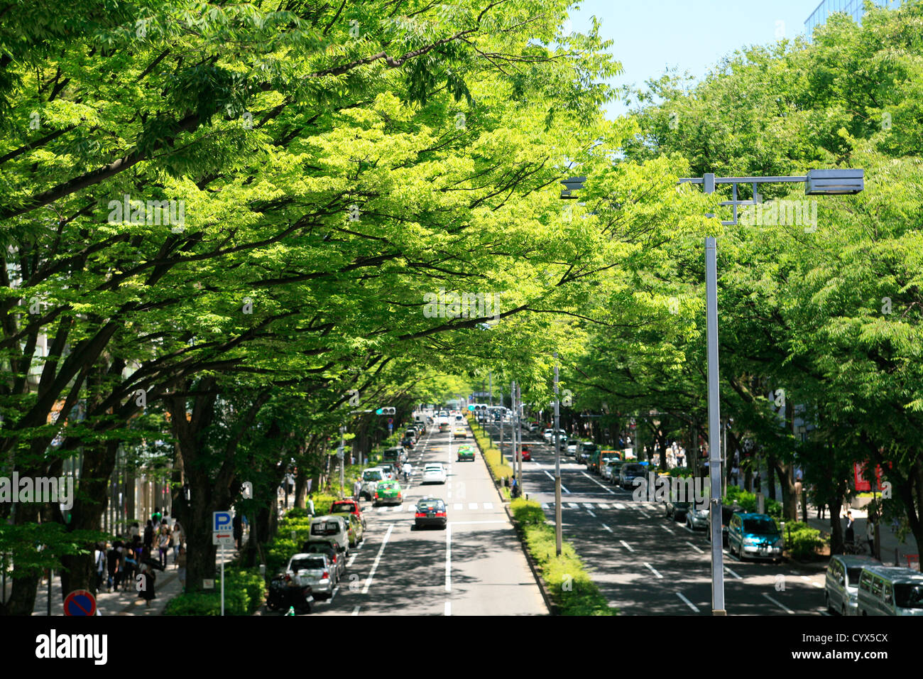 Japan omotesando hi-res stock photography and images - Alamy