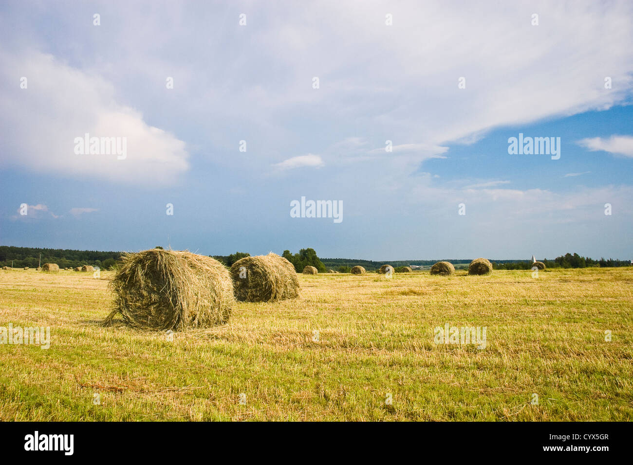 Hay stacks on the field - Summer rural landscape Stock Photo - Alamy