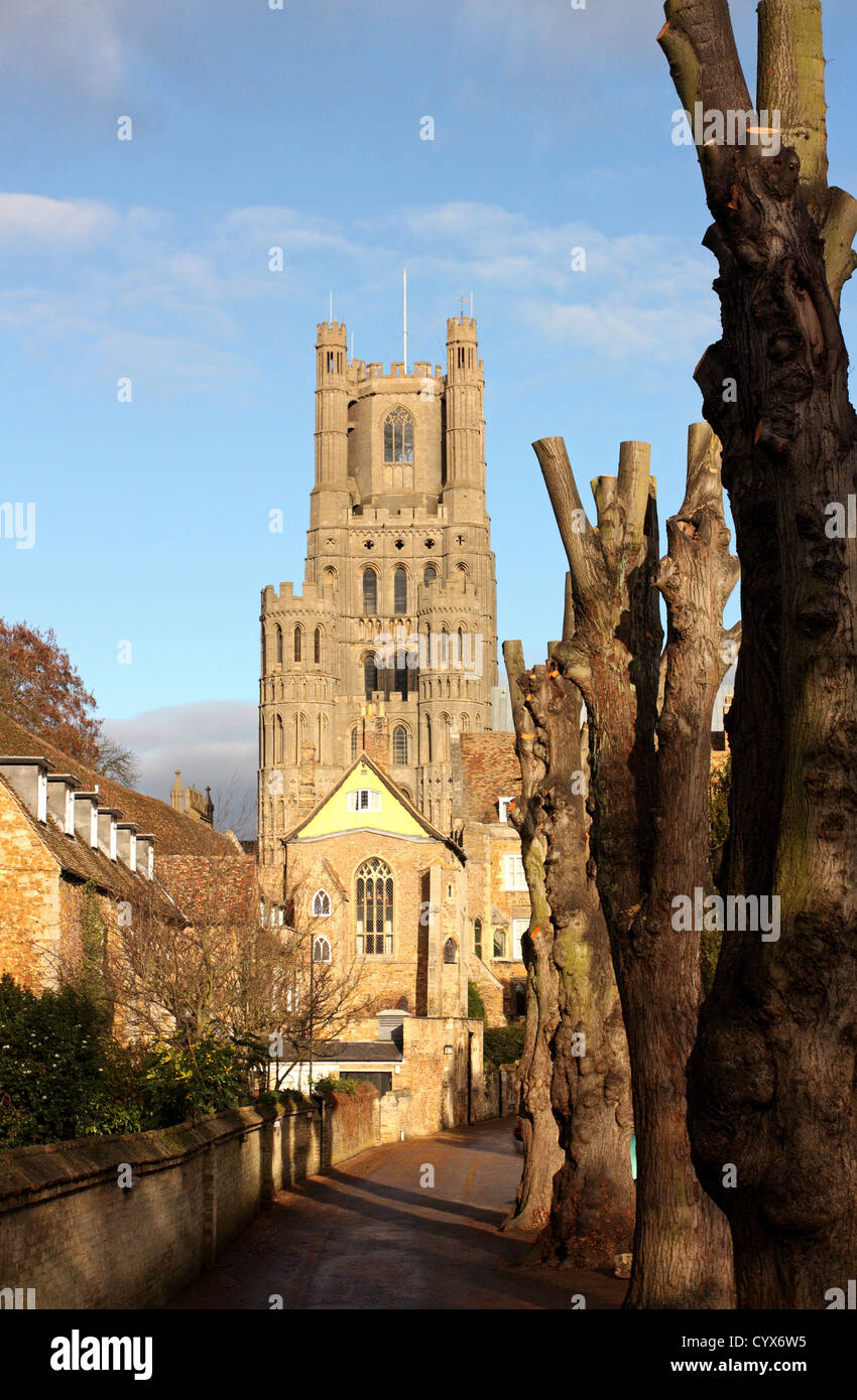 Ely Cathedral , Cambridge Stock Photo - Alamy