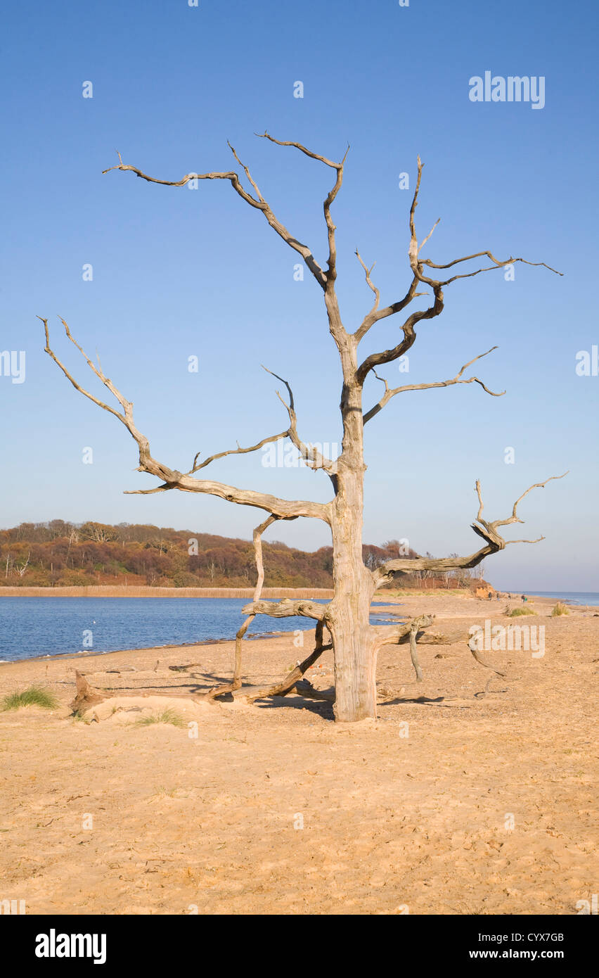 Beach suffolk hi-res stock photography and images - Alamy