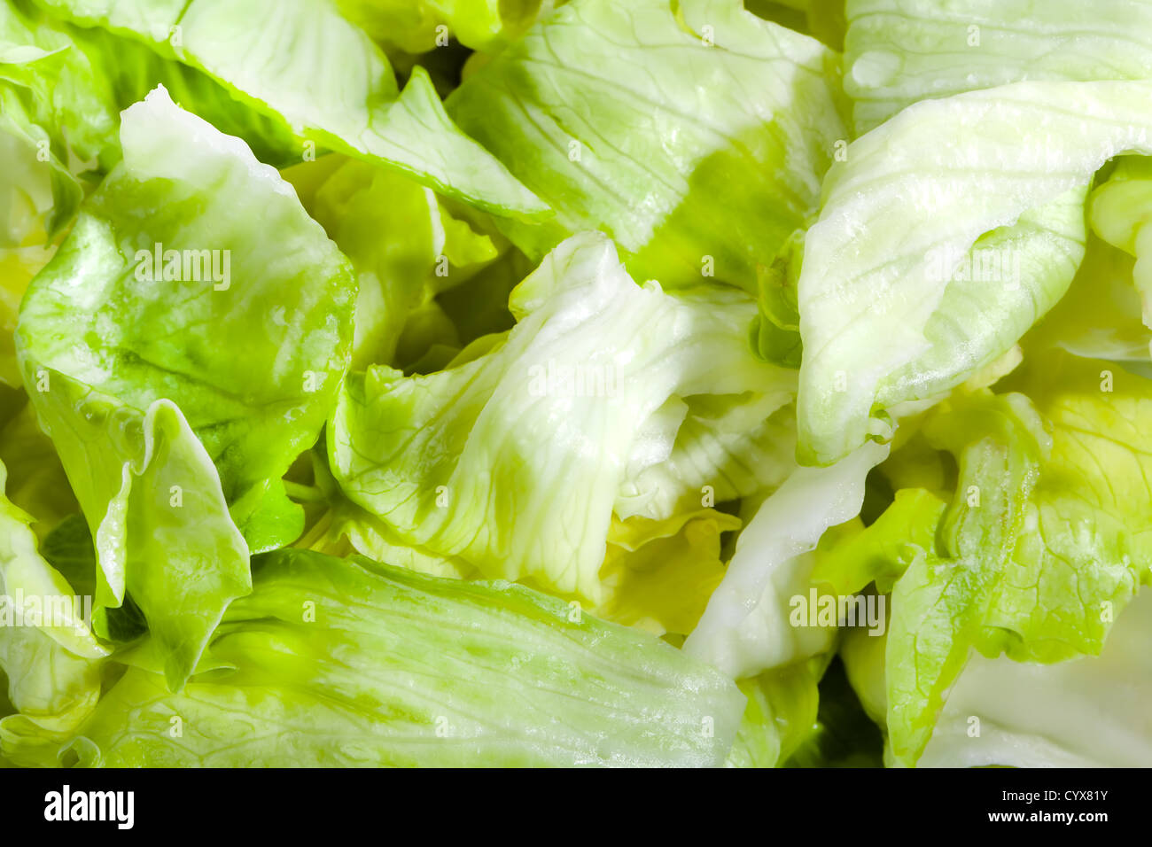 Fresh green healthy salad lettuce slices Stock Photo - Alamy
