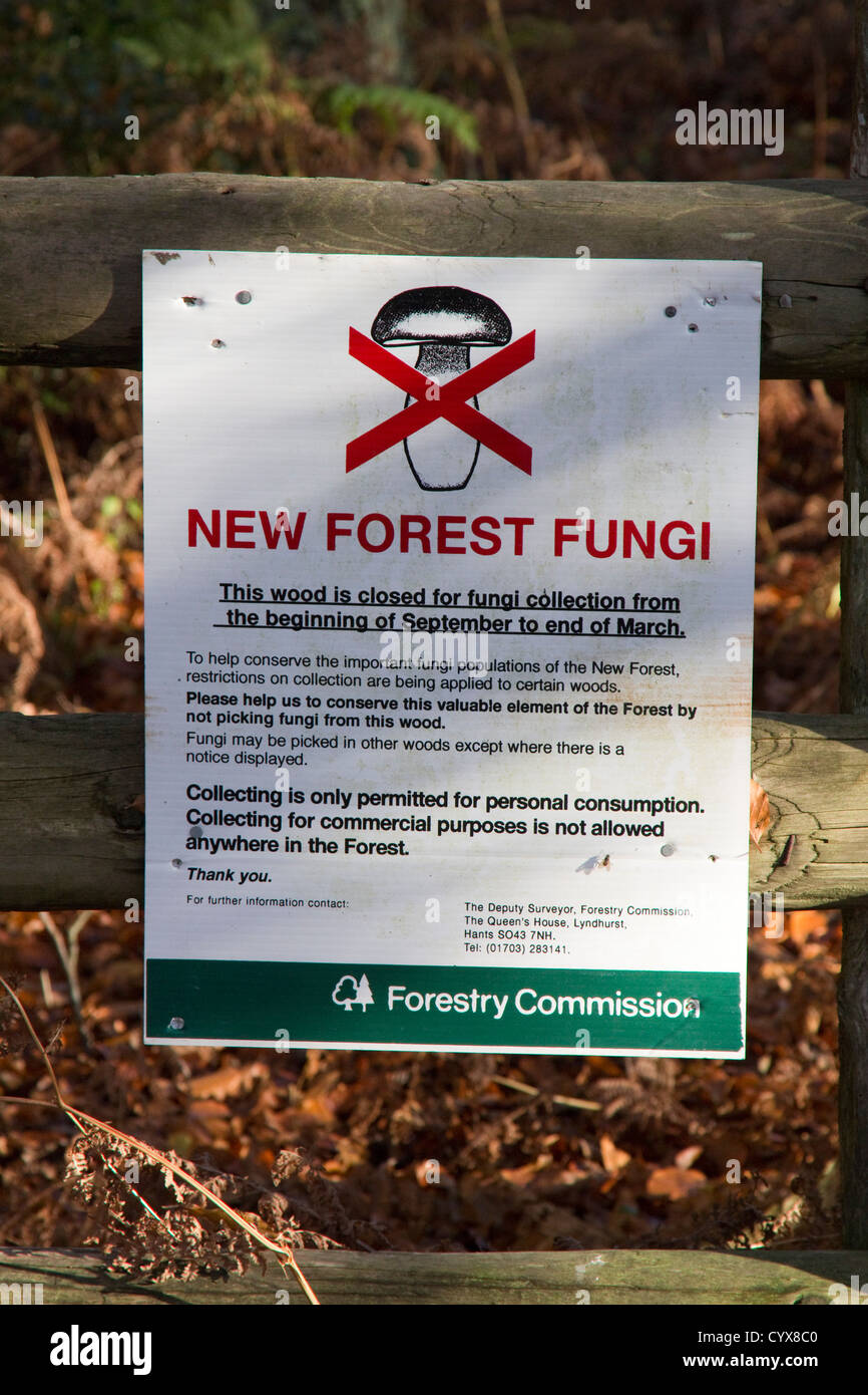 new forest fungi warning sign do not pick new forest hampshire england ...