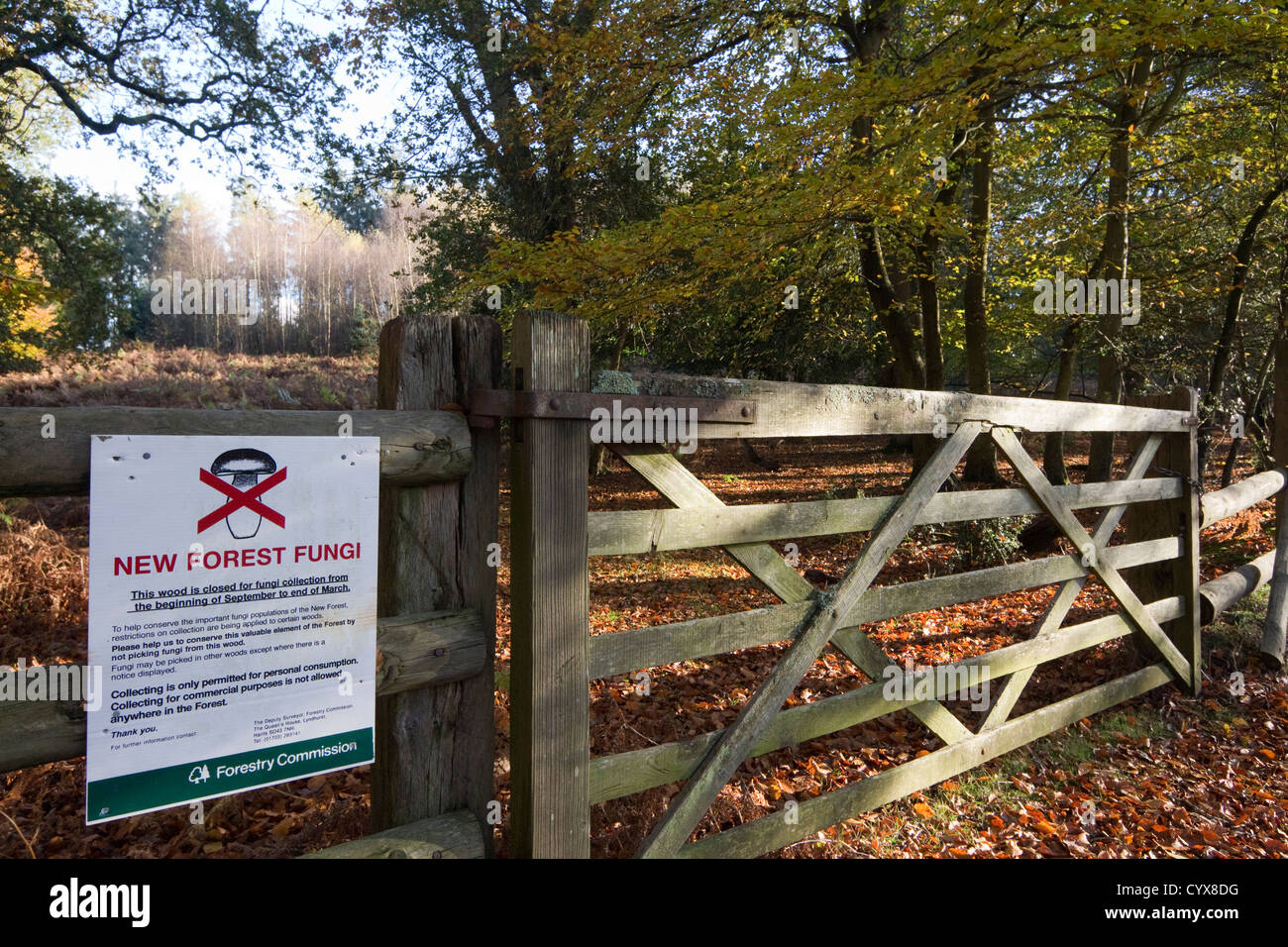 new forest fungi warning sign do not pick new forest hampshire england ...