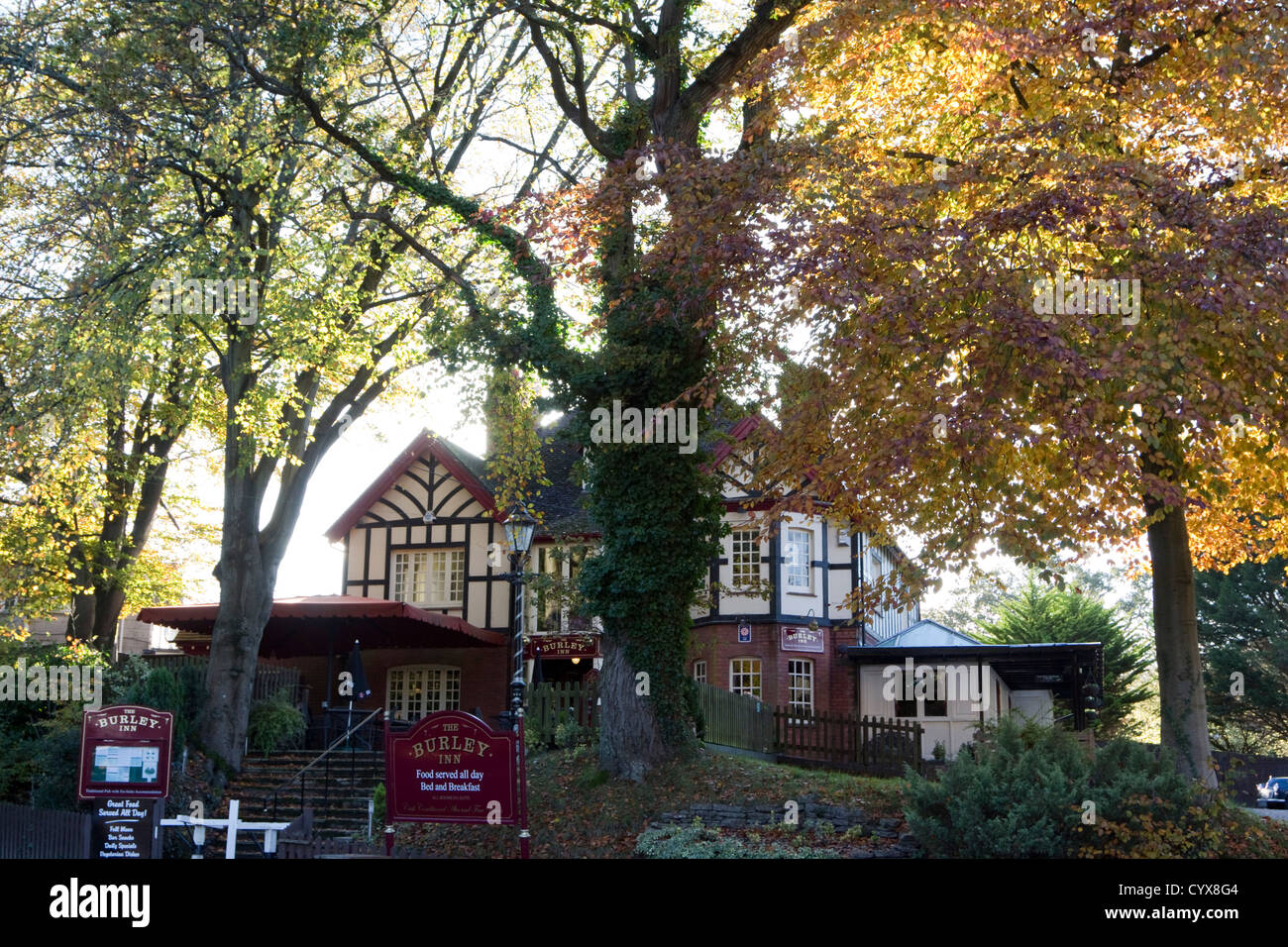 burley New Forest, Hampshire, England Stock Photo - Alamy