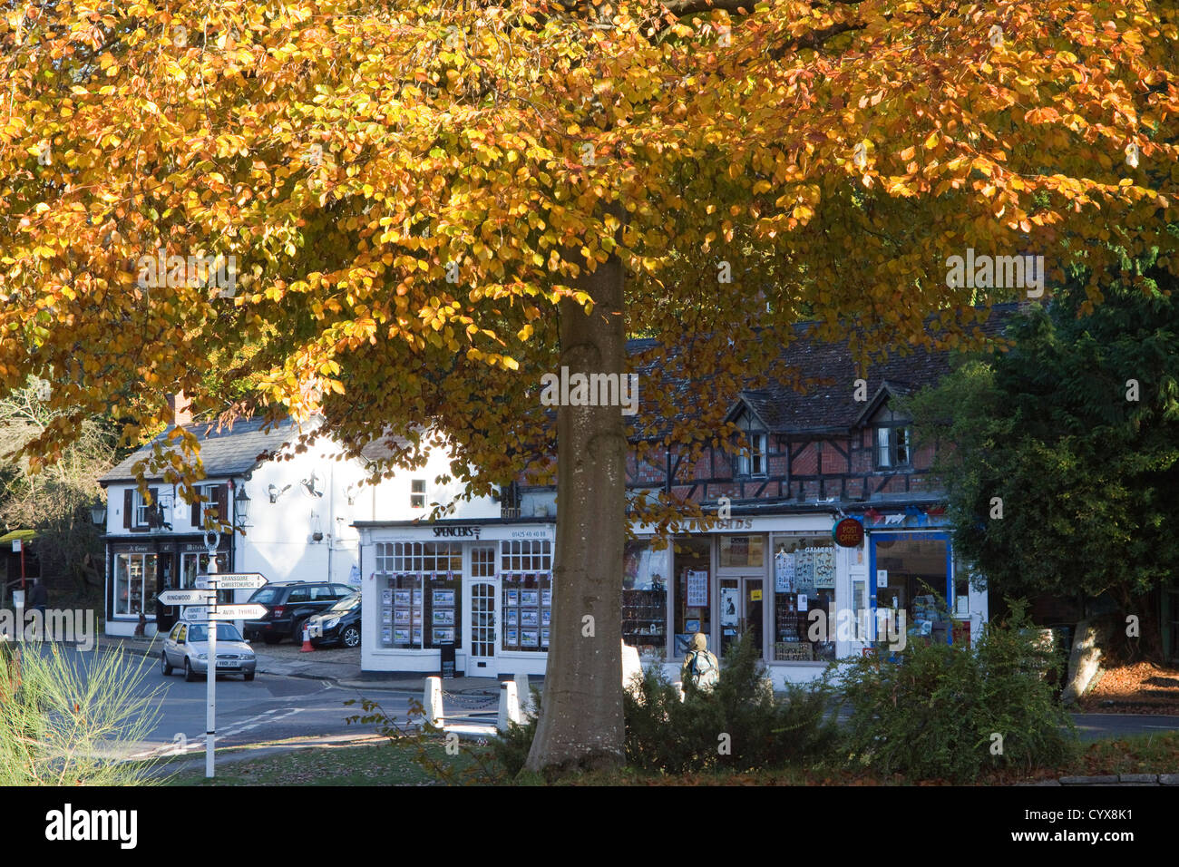 burley New Forest, Hampshire, England Stock Photo - Alamy