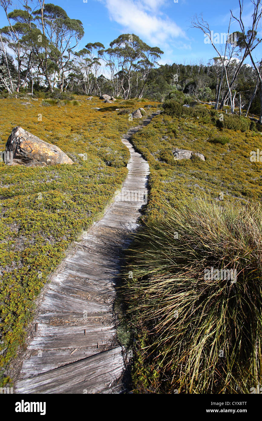 The Overland Track. Tasmania, Australia Stock Photo - Alamy