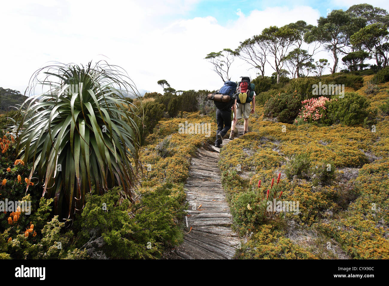 The Overland Track. Cradle Mt - Lake St Clair National Park, Tasmania ...