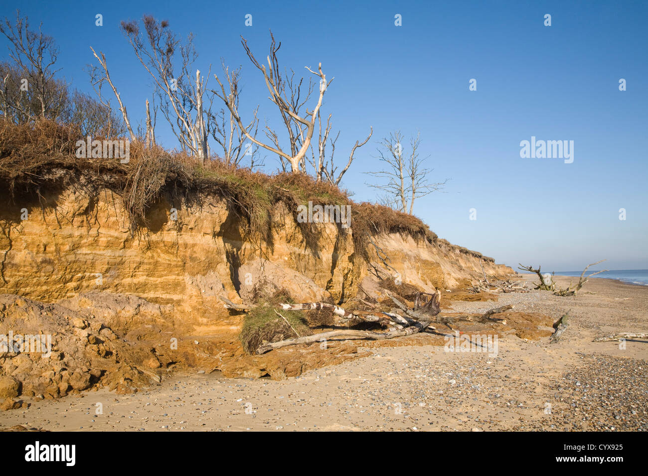 Cliffs sedimentary cliffs trees hi-res stock photography and images - Alamy