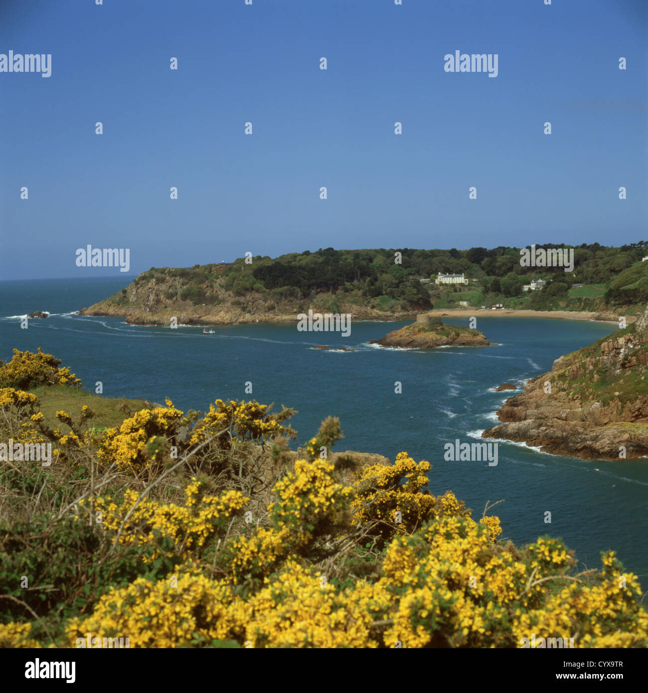 Wide bay with gorse in the foreground Stock Photo - Alamy