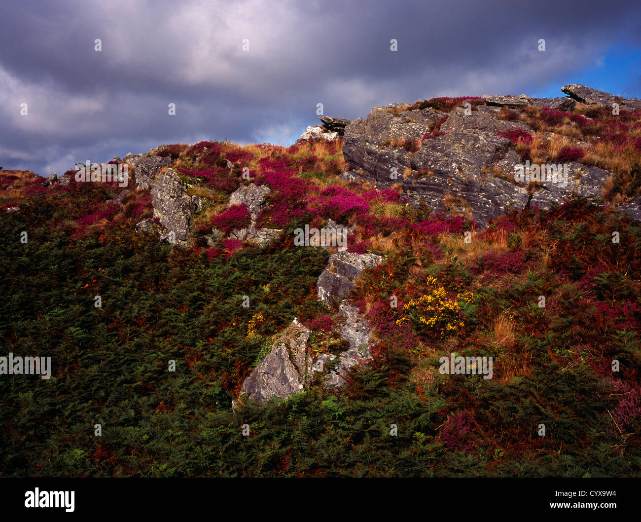 Bell cotes hi-res stock photography and images - Alamy