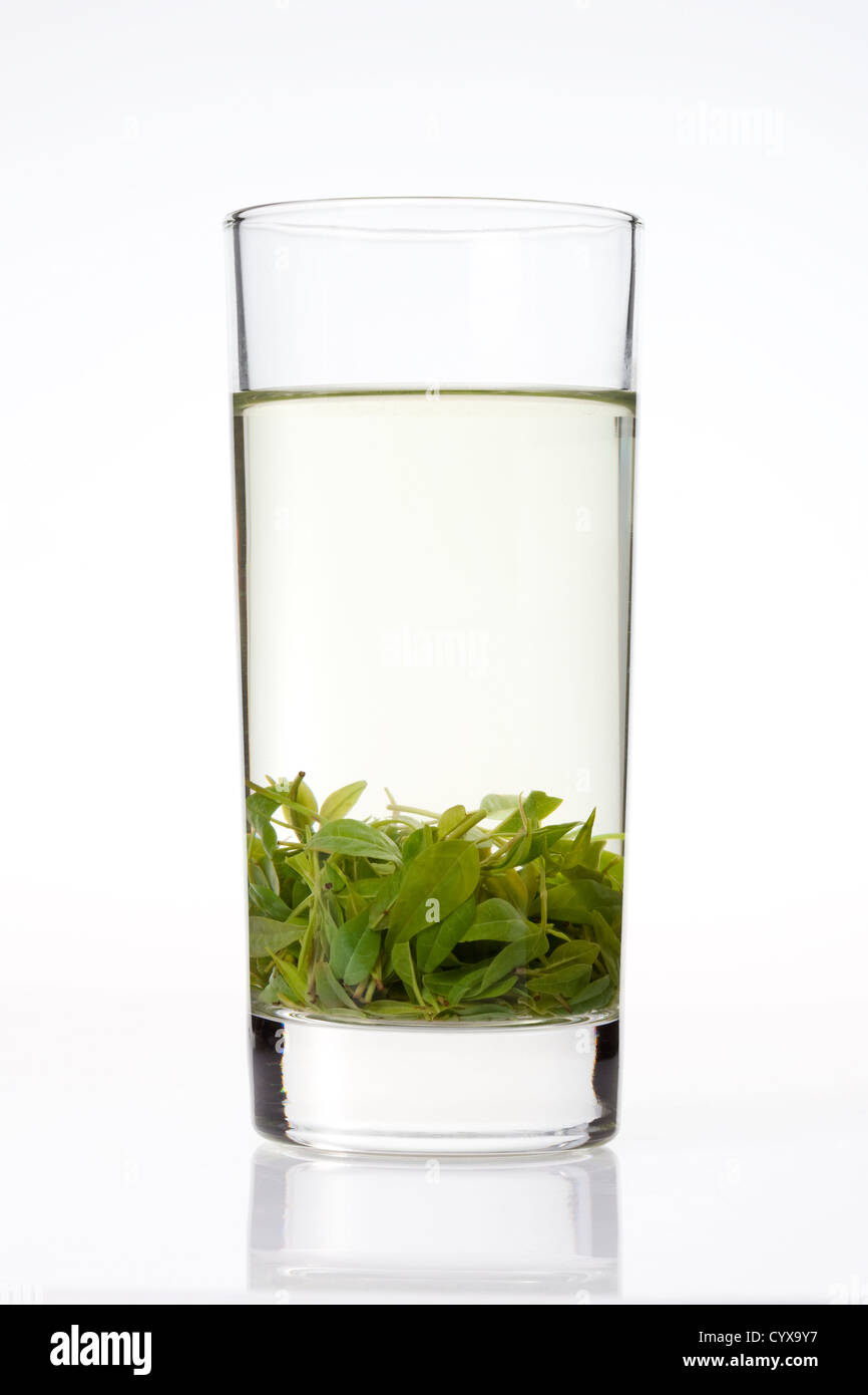 A cup of Chinese traditional green tea Stock Photo - Alamy