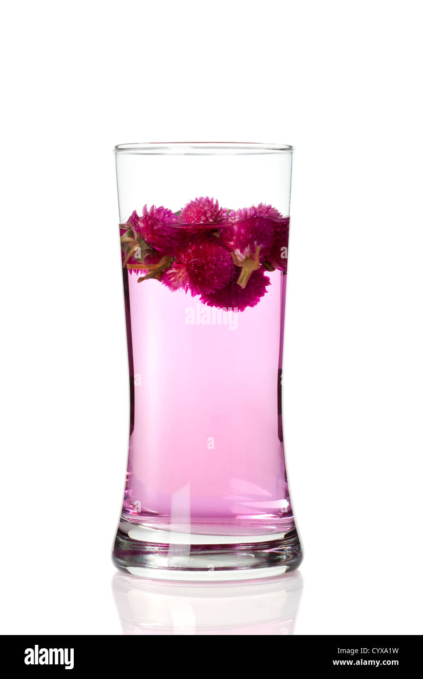 Globe amaranth tea Stock Photo - Alamy