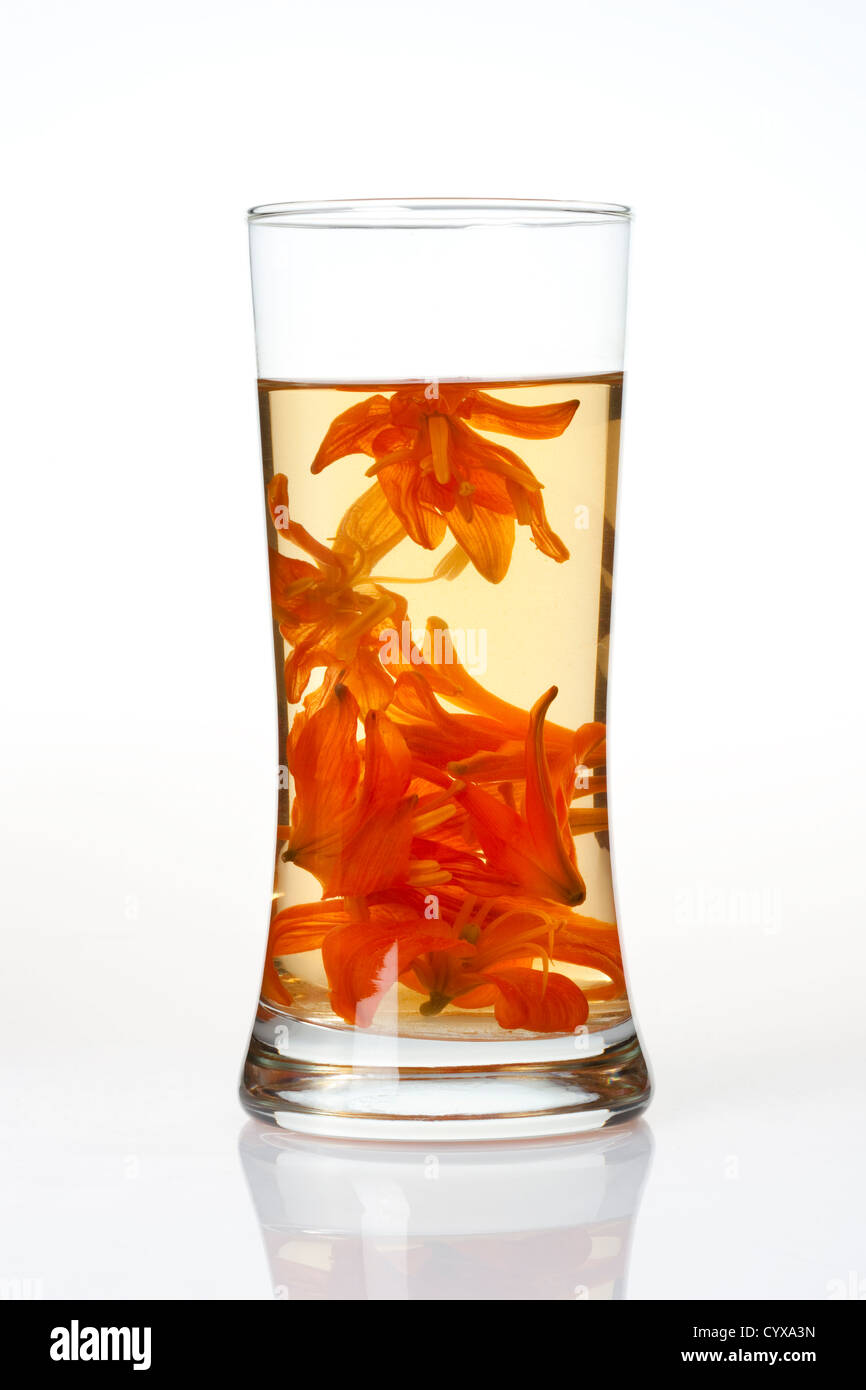 A cup of lily tea Stock Photo - Alamy