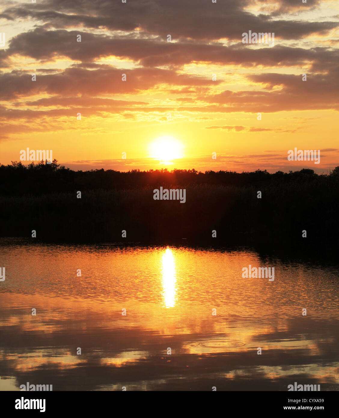 Sunrise scene on lake Stock Photo - Alamy