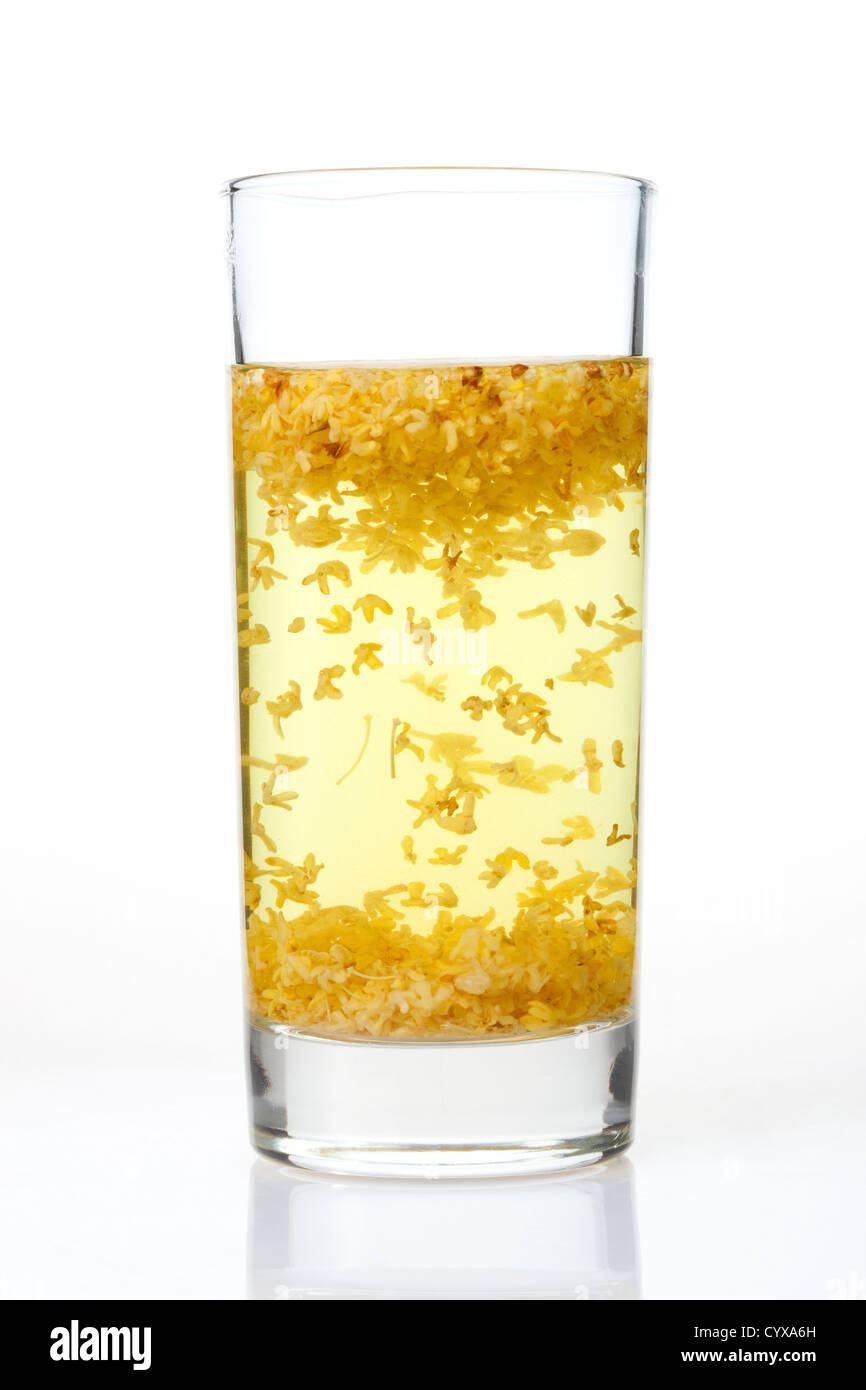Osmanthus fragrans hi-res stock photography and images - Alamy