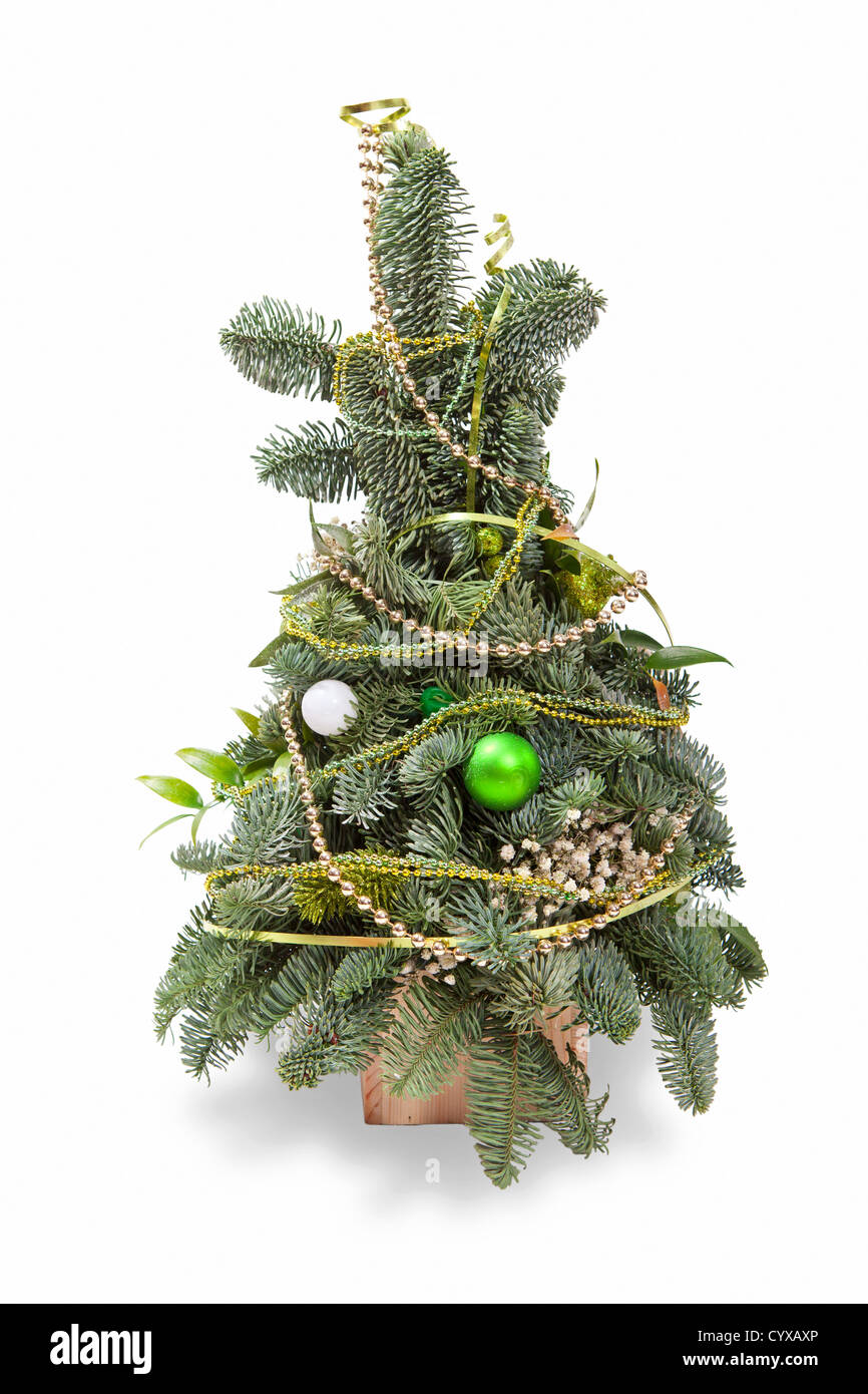 Small Christmas tree, isolated on white background Stock Photo - Alamy