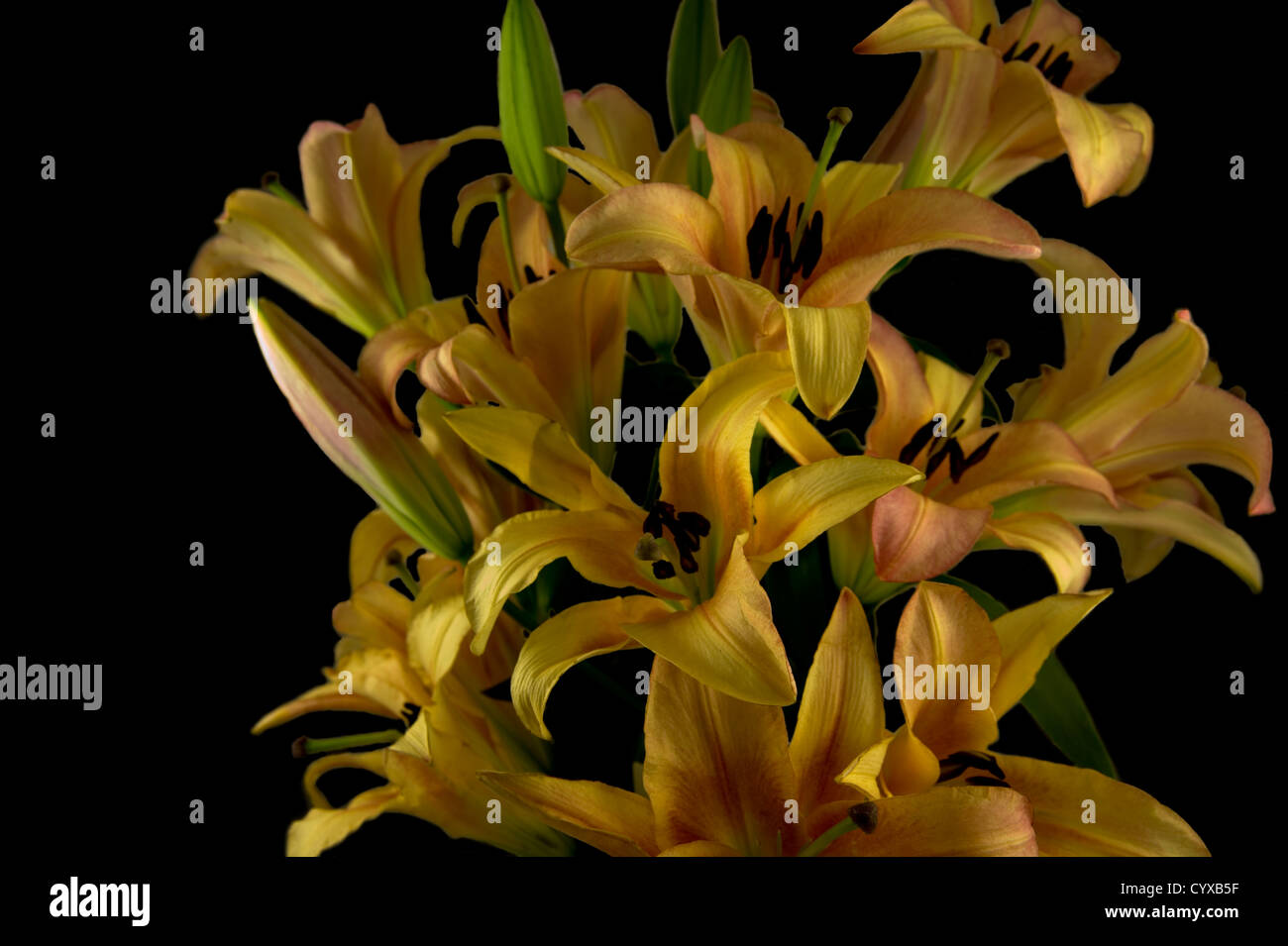 bunch of lilies Stock Photo - Alamy