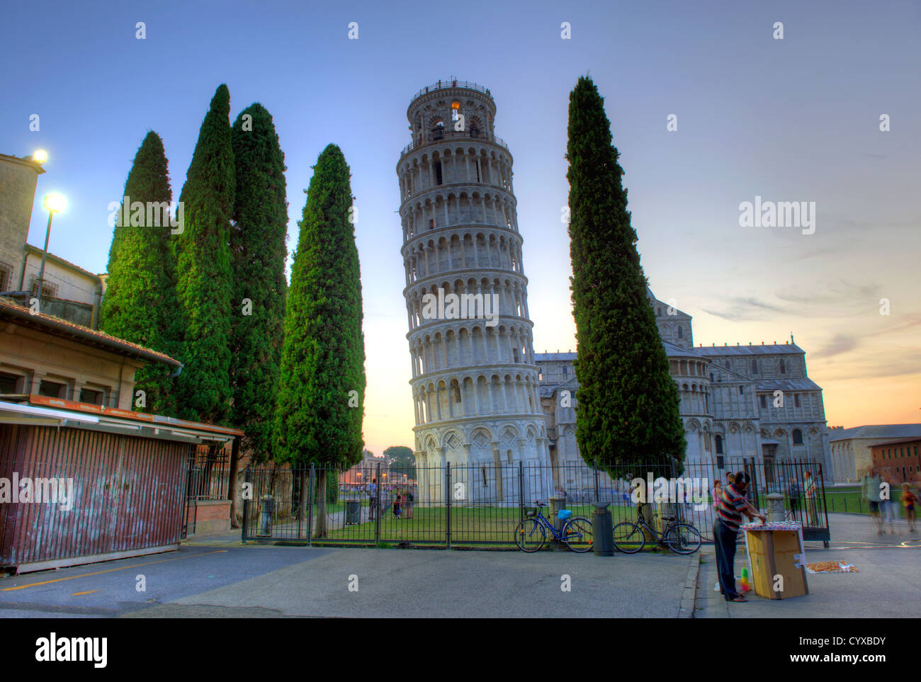 The hanging tower of Pisa between trees in the sunset Stock Photo - Alamy