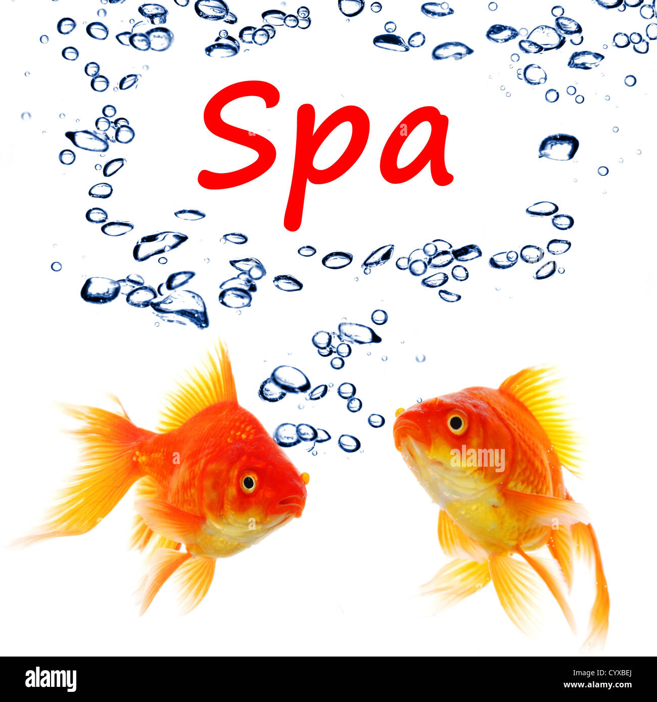 spa concept with goldfish and water bubbles on white background Stock ...