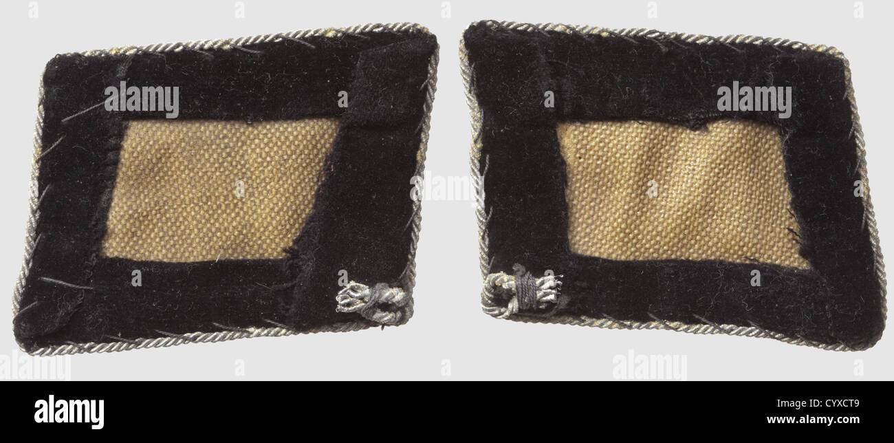 Pair of collar patches for "Oberführer",second version(1942 - 1945 ...