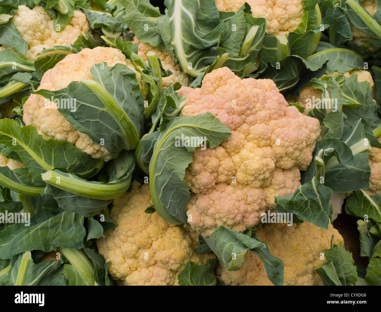 Cauliflower curd and leaves hi-res stock photography and images - Alamy