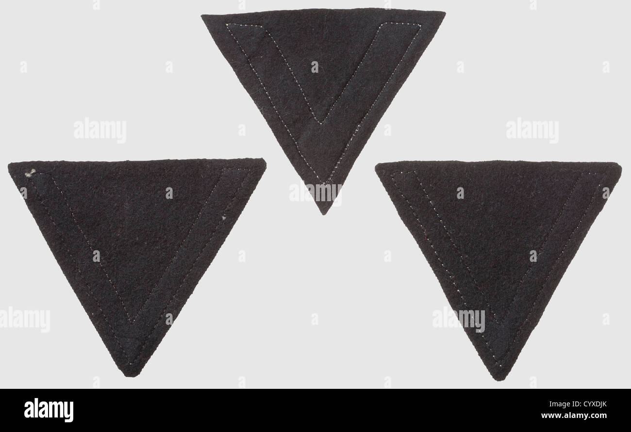 Nazism national socialism organisations schutzstaffel ss hi-res stock ...