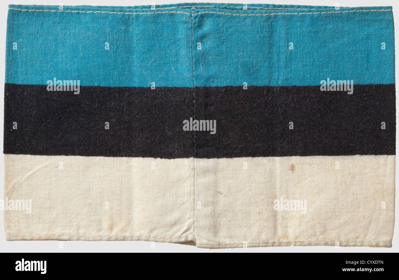 Armband for an Estonian Flak helper, white cotton armband, printed in ...