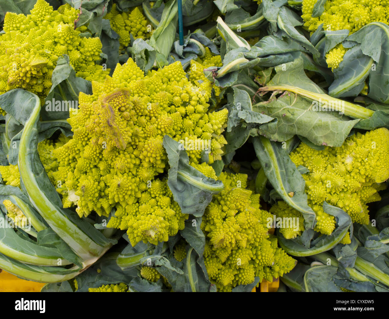 Broccoflower hi-res stock photography and images - Alamy