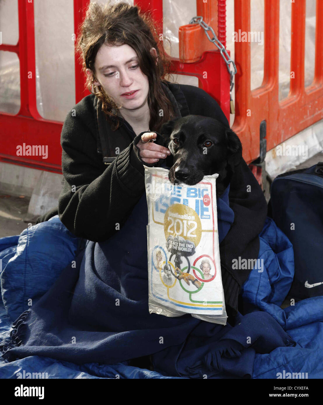 Big Issue magazine seller with her dog British Isles Female Women Girl ...