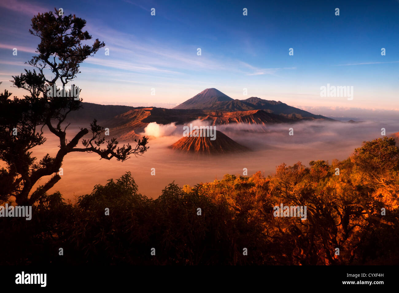Mount Bromo volcanoes taken in Tengger Caldera, East Java, Indonesia ...