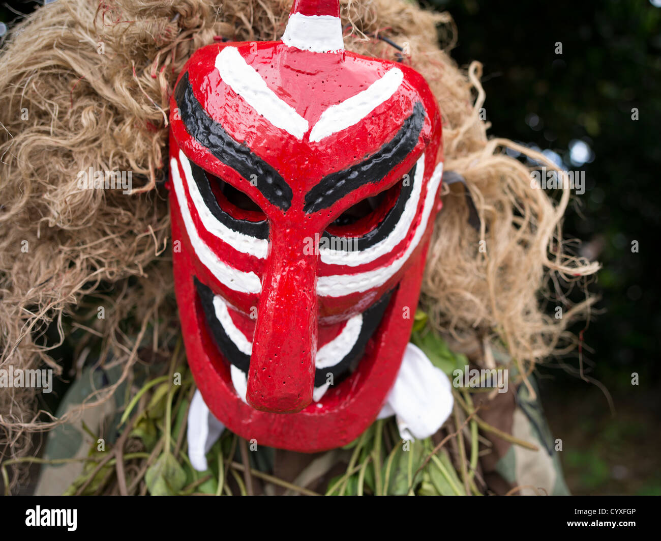 Okinawan Man with Fusamarah rain god mask, Mushaama Harvest Festival ...