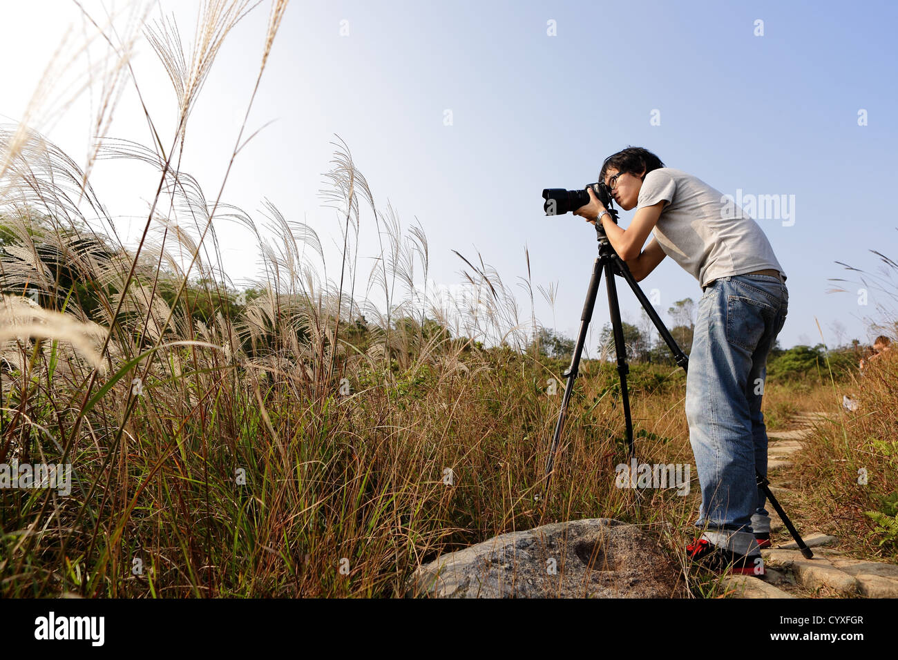 Photographer taking photo Stock Photo - Alamy