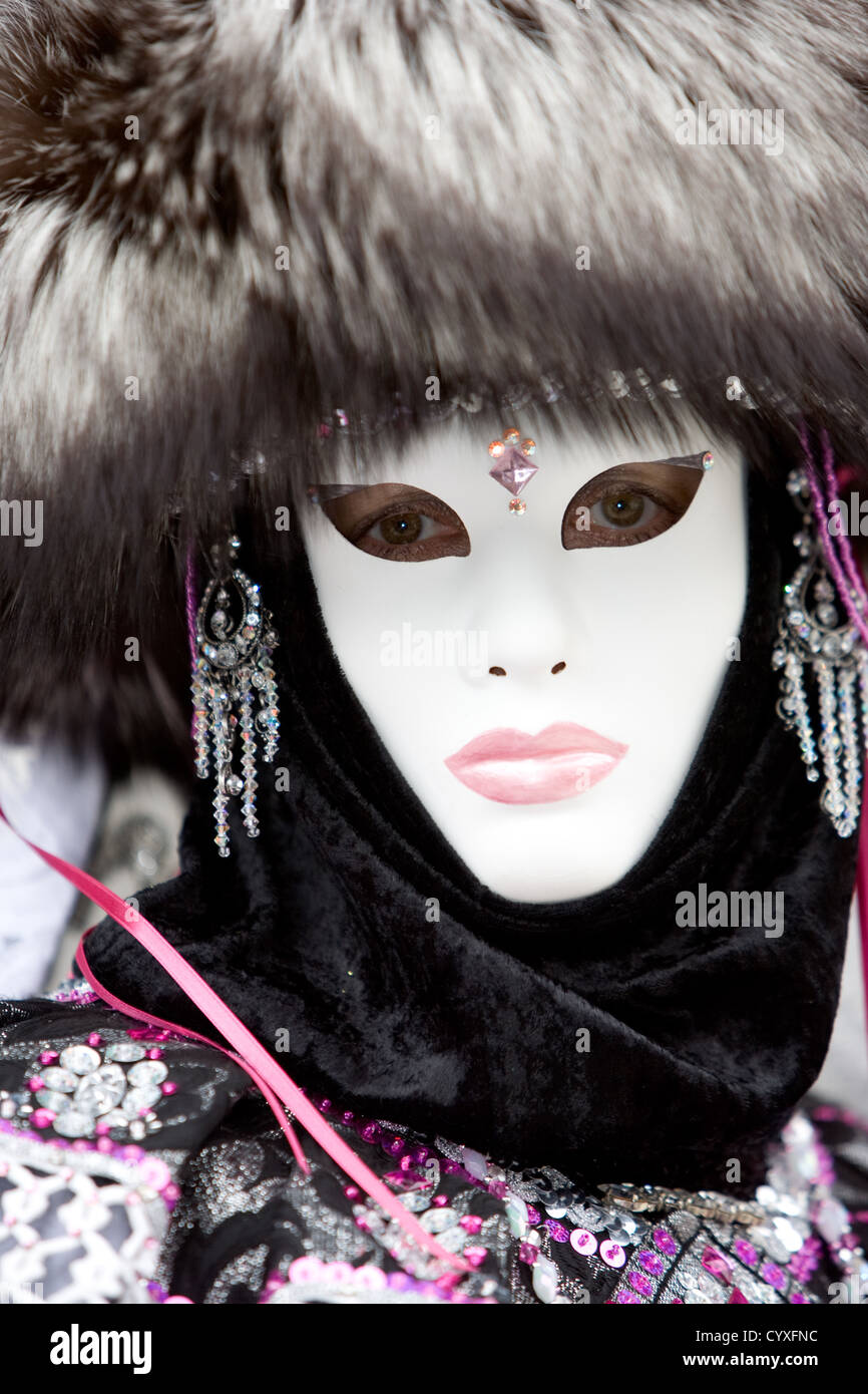 Lady fox hi-res stock photography and images - Alamy