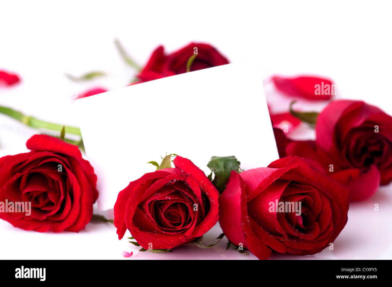 Blank card red hi-res stock photography and images - Alamy