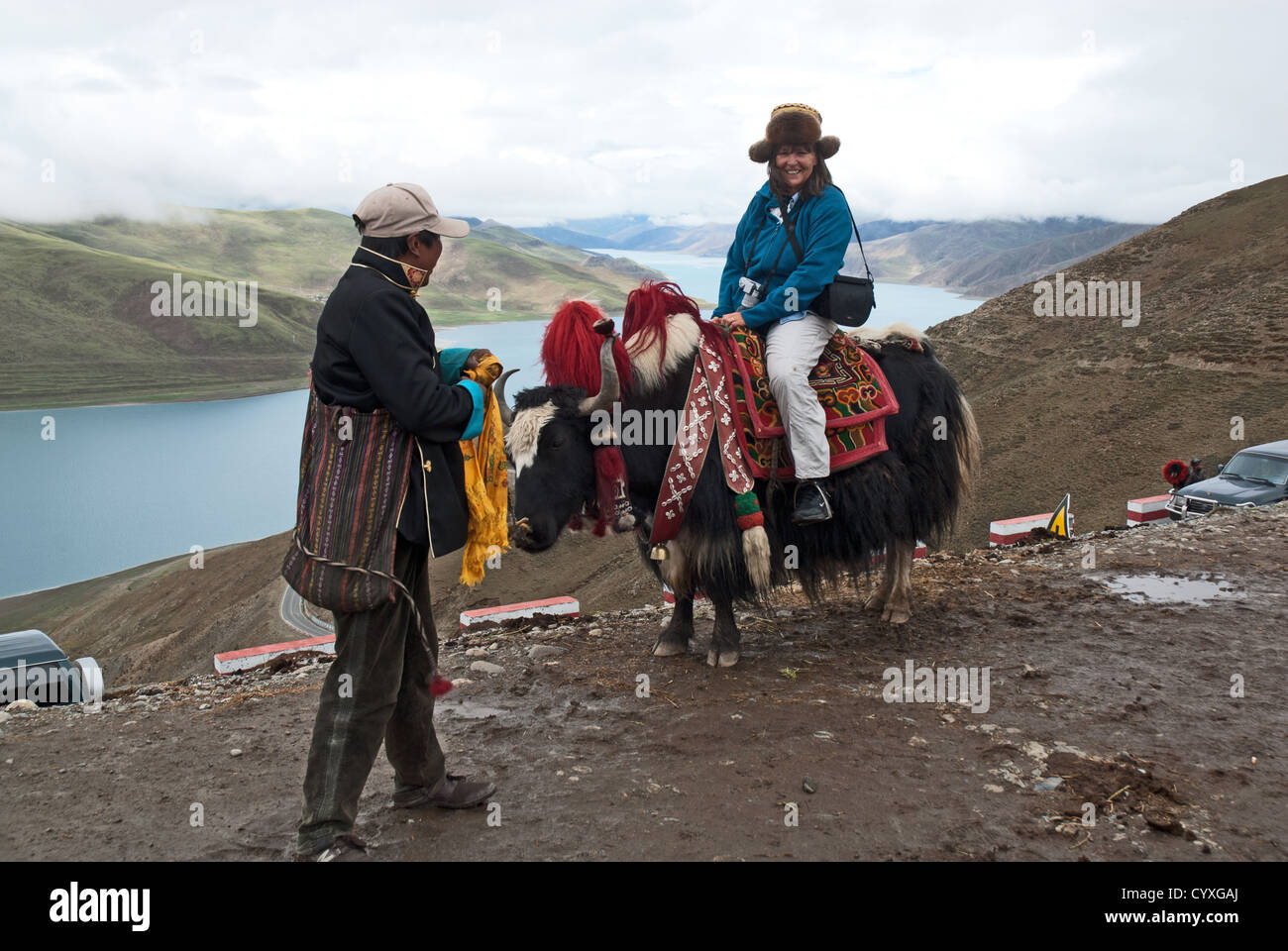 Liliane sitting on Yak, Khamba La pass, Yamdrok lake,Tibet, China Stock Photo - Alamy