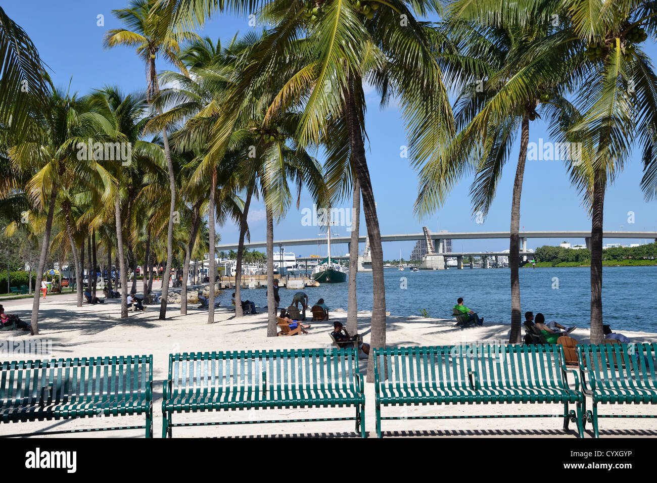 Bayfront Park, Downtown Miami, Florida Stock Photo - Alamy