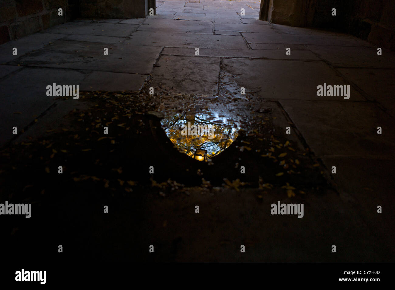 Fall leafs reflacted on puddle. Autumn at Yale University Stock Photo ...
