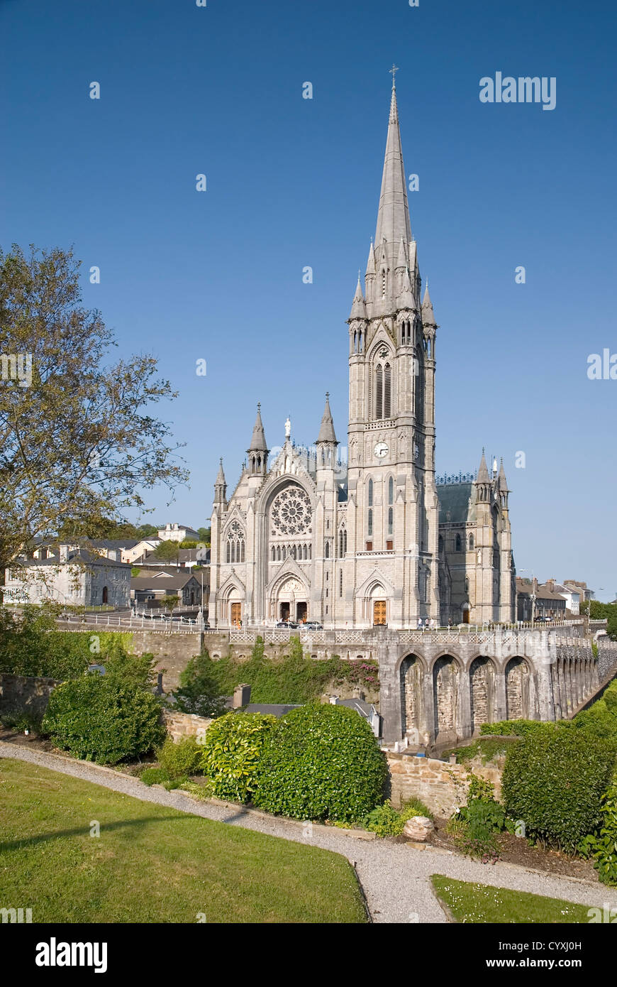 St Colman's Cathedral. European Stock Photo - Alamy