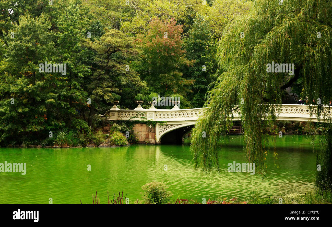 Bow bridge spring central park hi-res stock photography and images - Alamy