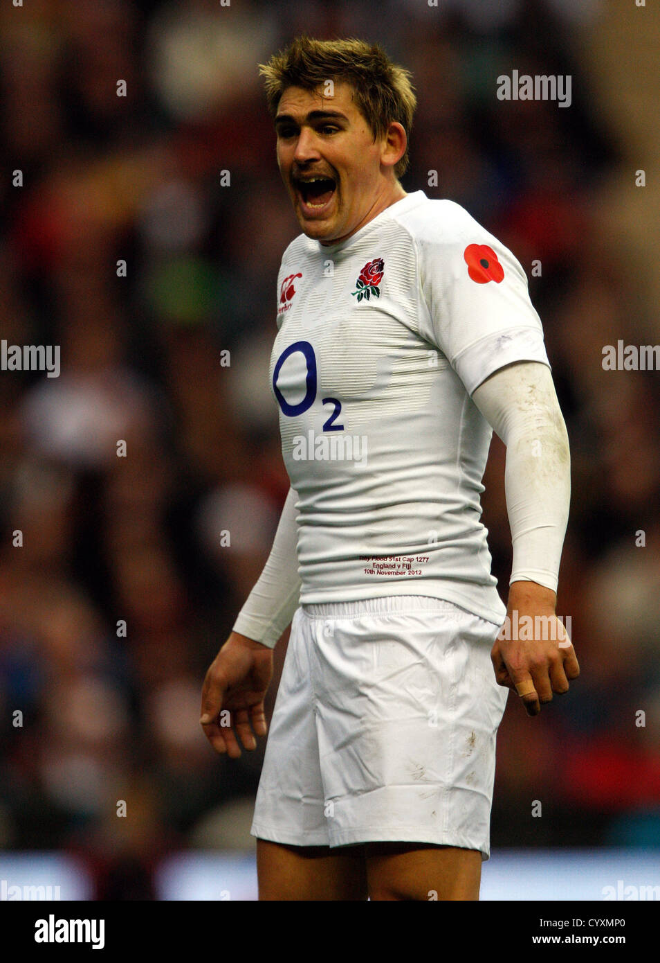 TOBY FLOOD ENGLAND RU TWICKENHAM MIDDLESEX ENGLAND 10 November 2012 ...