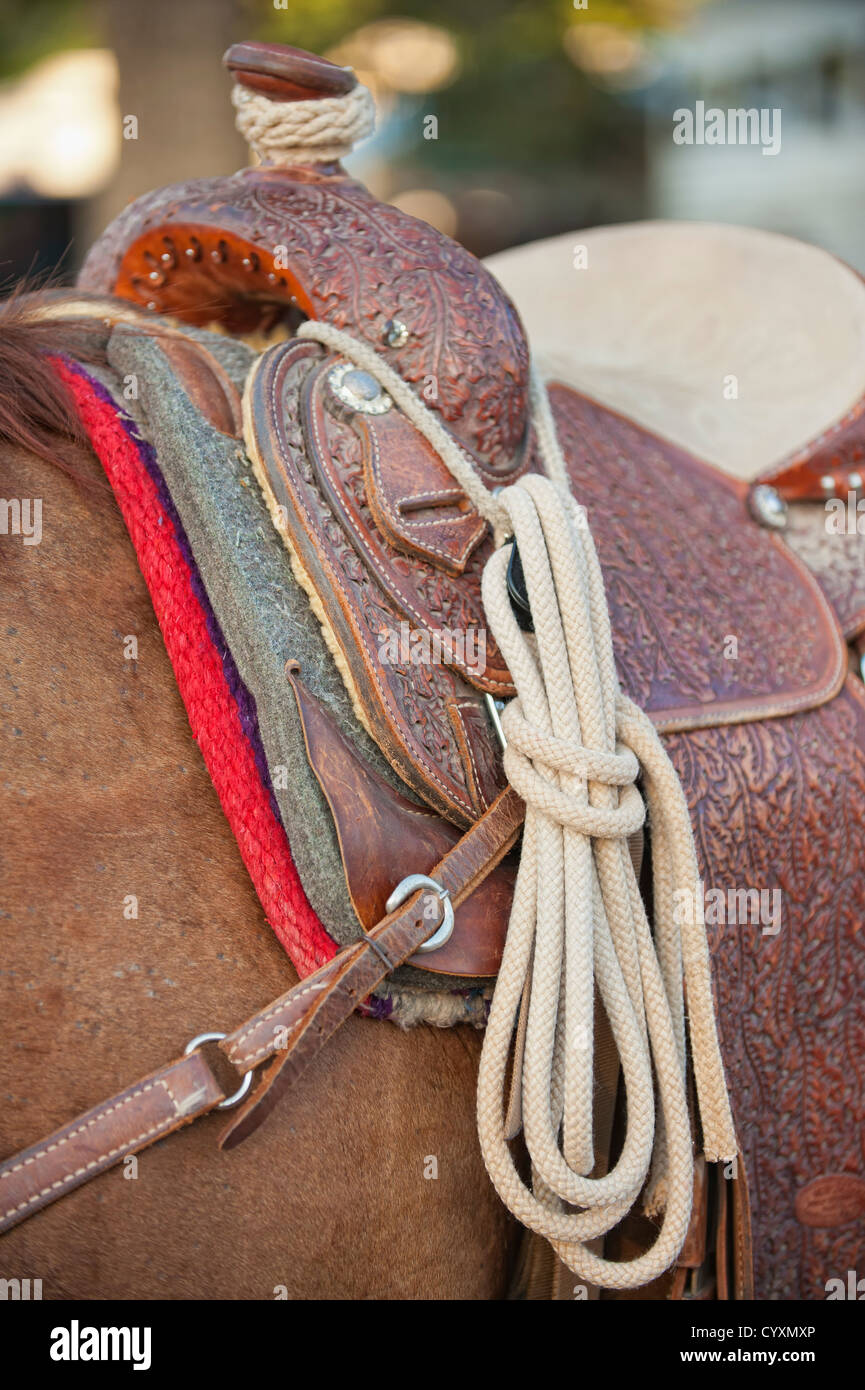 Western saddle hi-res stock photography and images - Alamy
