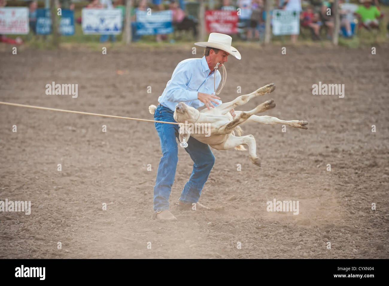 Cowboy holding rope hi-res stock photography and images - Alamy