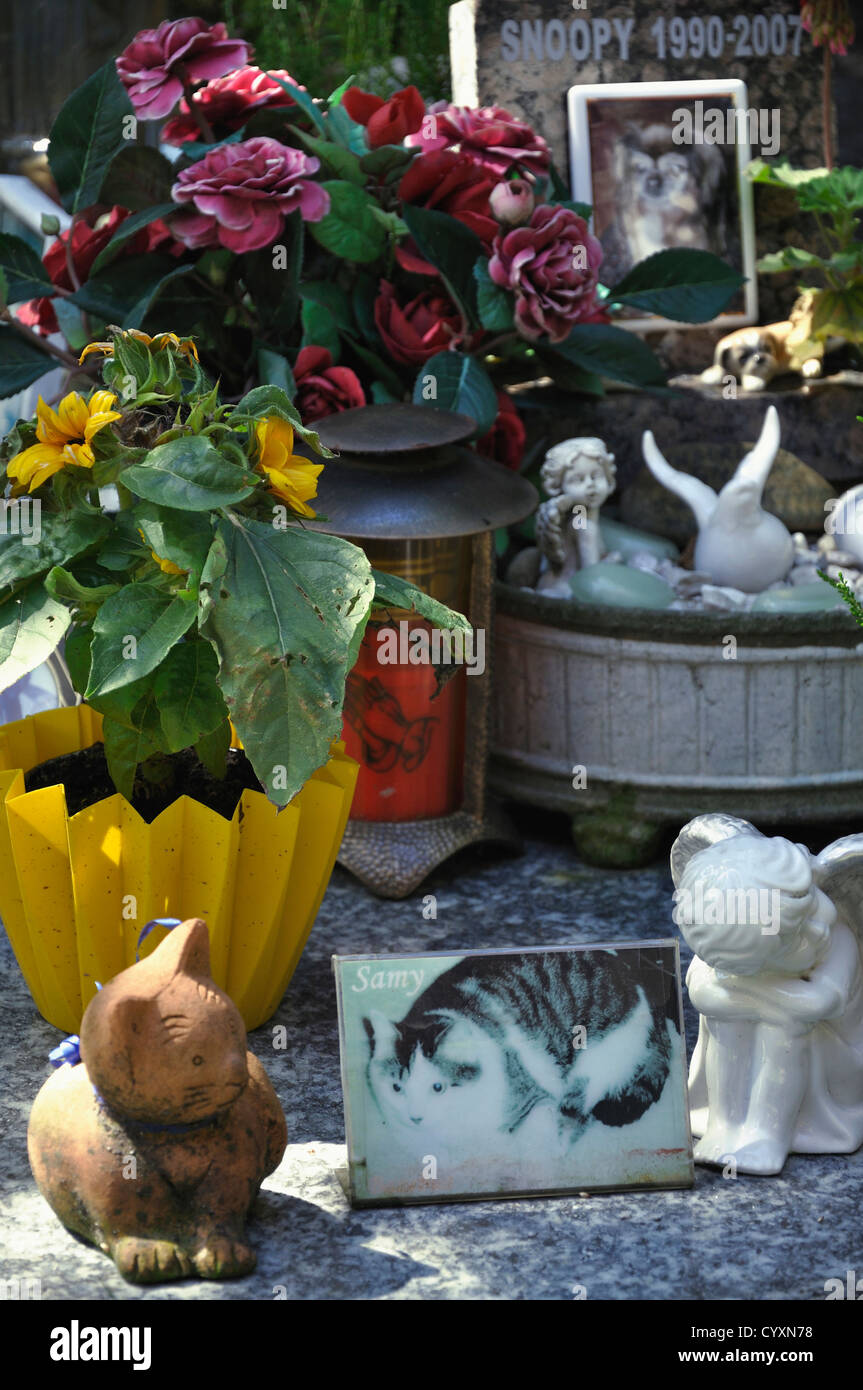Pets cemetery hi-res stock photography and images - Alamy