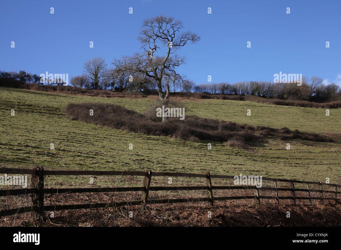Steep field hi-res stock photography and images - Alamy