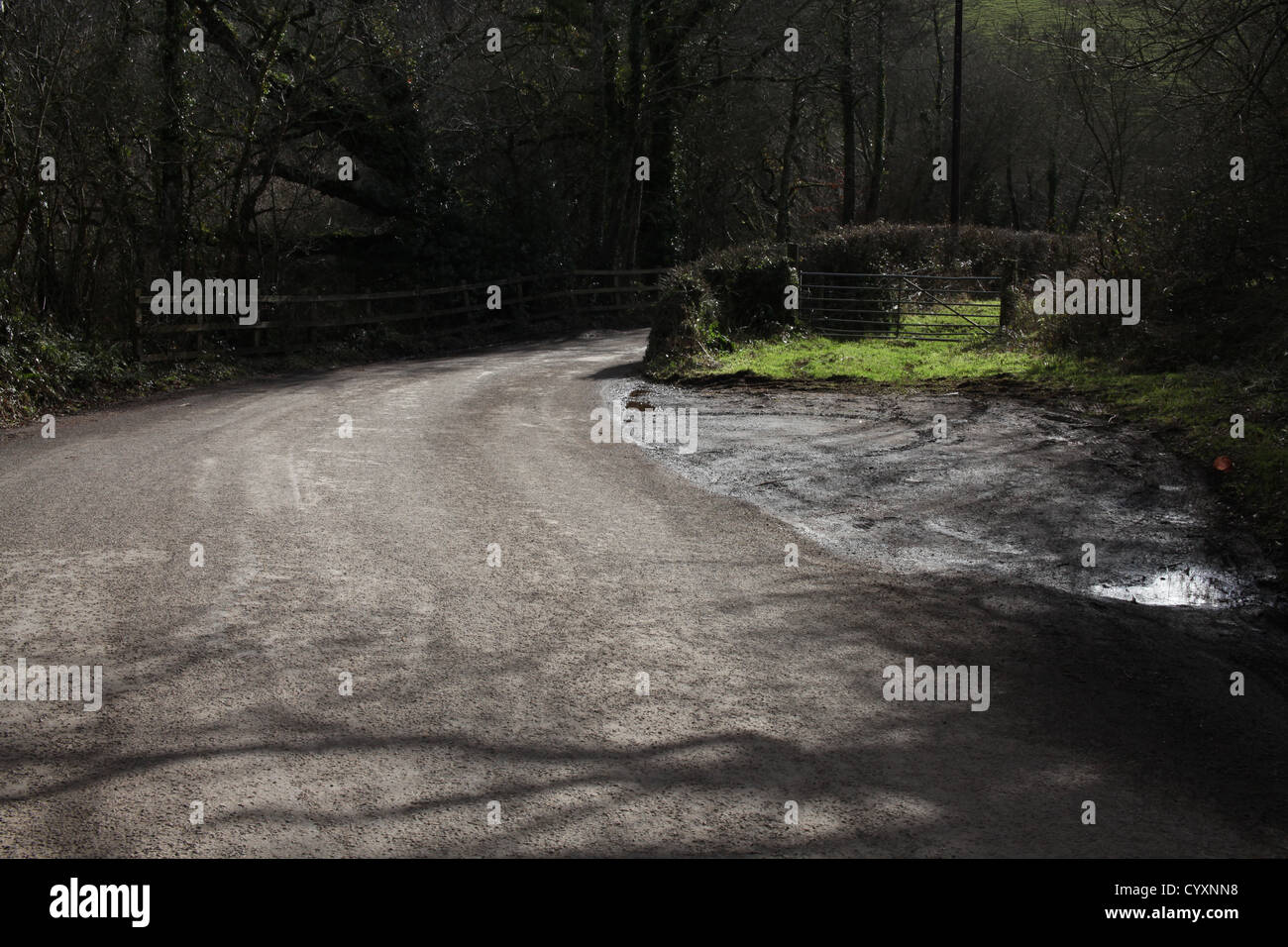 Country road in Tuckenhay, Devon, South West England, UK Stock Photo ...