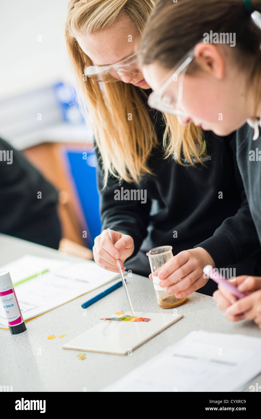 Two girls Pupils in a science class at a secondary comprehensive school ...