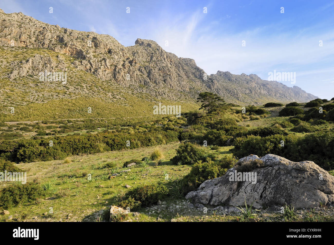 The boquer valley hi-res stock photography and images - Alamy