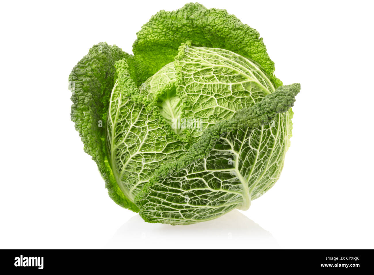 Savoy cabbage cut hi-res stock photography and images - Alamy
