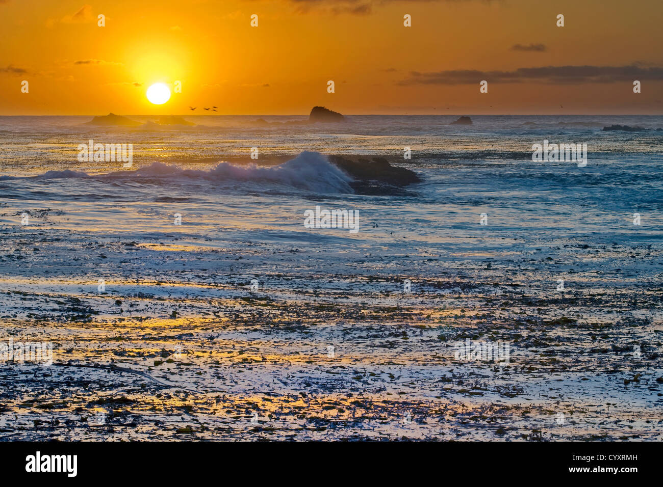 Sunset at Point Lobos, California Stock Photo - Alamy