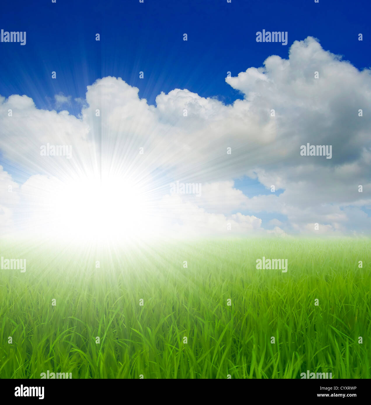 green grass and sky Stock Photo - Alamy